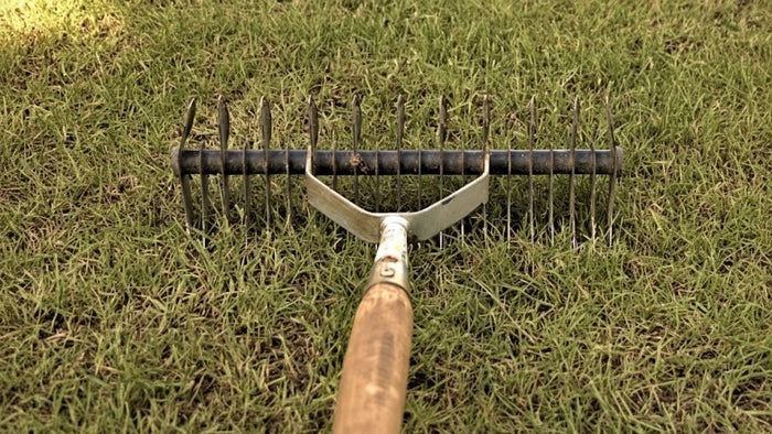 Scarifying Lawn UK: When & How to Scarify Grass for a Perfect Sward